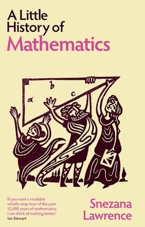 A Little History of Mathematics - Yale University Press London